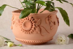 Горшки для цветов: большие, напольные, керамические для офисных и ...